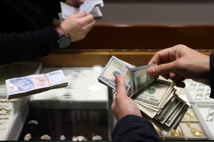 What is Currency Purchase Document - Döviz Alım Belgesi (DAB) - Turkish ...